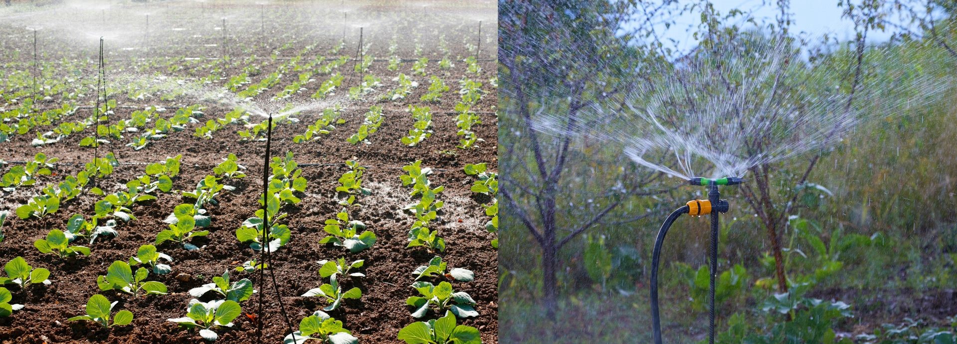 Συστήματα άρδευσης: Ποιον τύπο να διαλέξετε με βάση τις ανάγκες σας ...