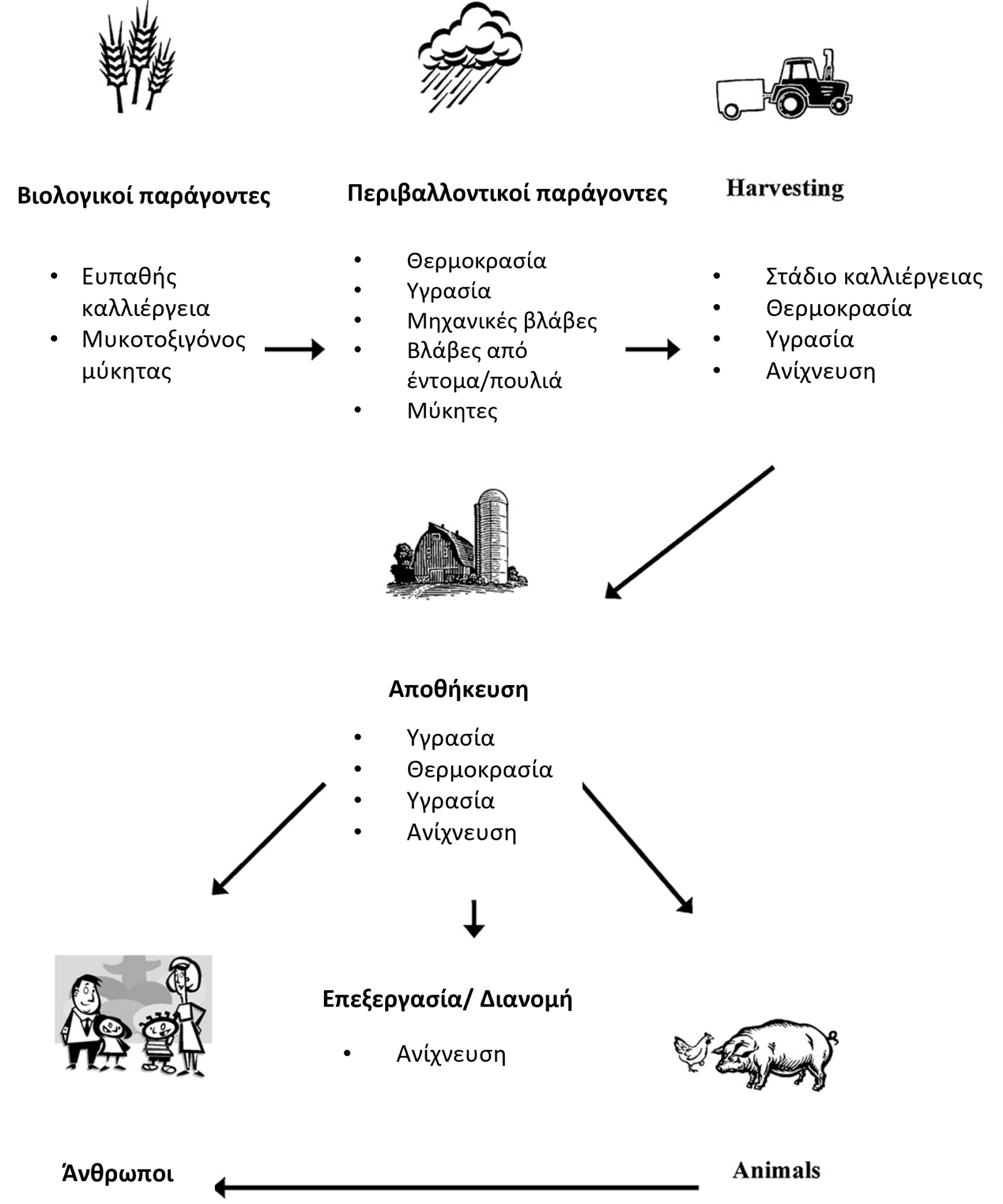 Τι είναι οι μυκοτοξίνες και πώς επηρεάζουν την ασφάλεια των τροφίμων ...