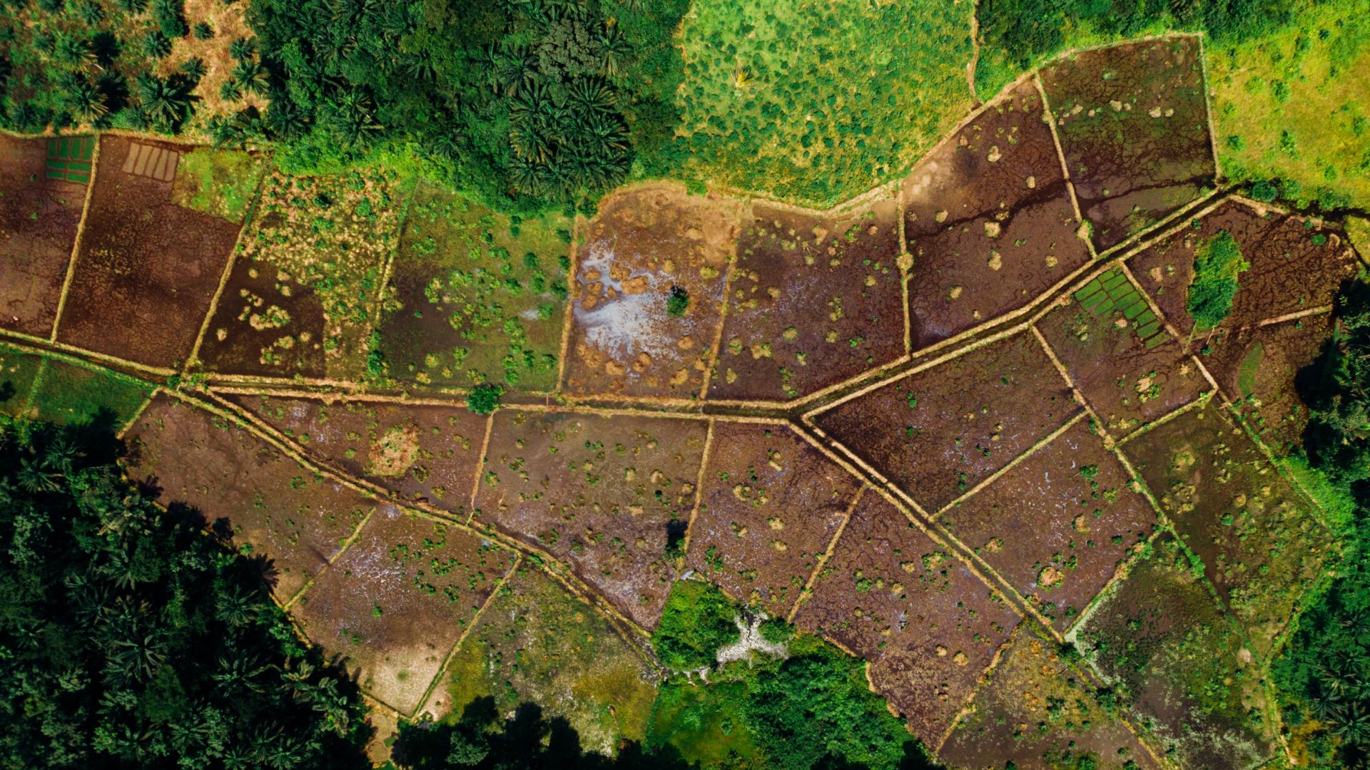 Land Sharing – Sparing approaches: Principles, goals, similarities and ...