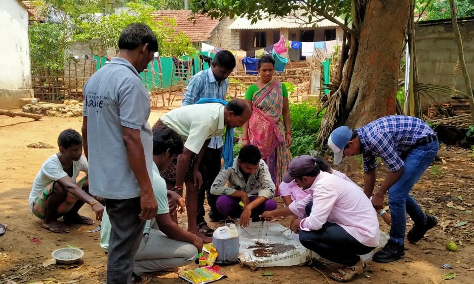 Seed Treatment methods in Organic farming | Wikifarmer