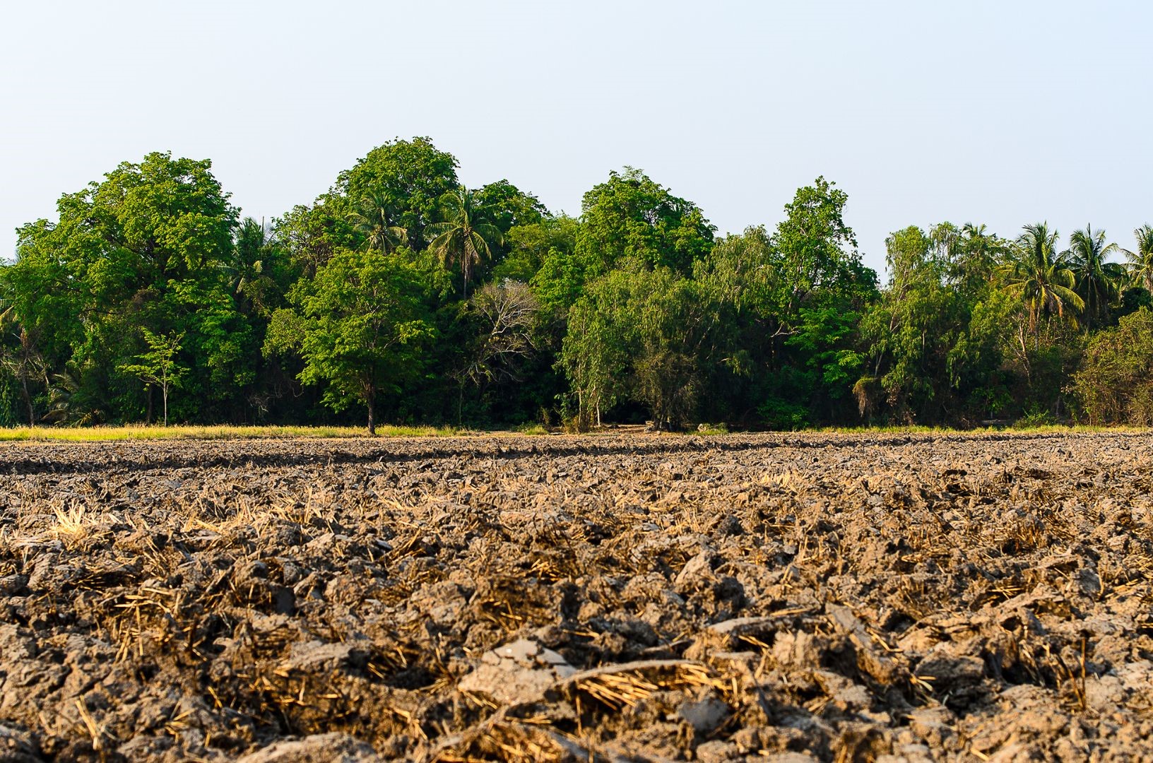 Optimizing Soil Health: Understanding and Balancing Soil Organic Matter ...