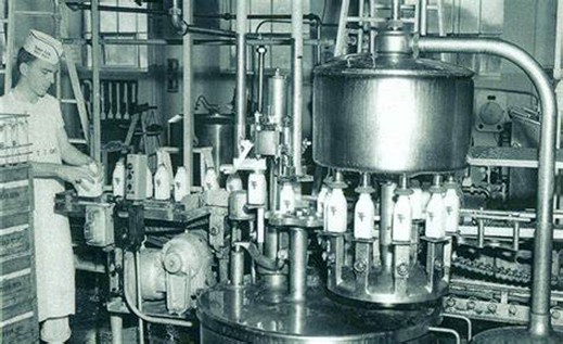 Γαλακτοκομικά προϊόντα: Τύποι και διατροφική αξία | Wikifarmer