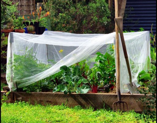 Garden Shade Net: essential protection for vegetables | Wikifarmer