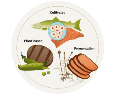 Alternative proteins: a key to the future of the global food system ...