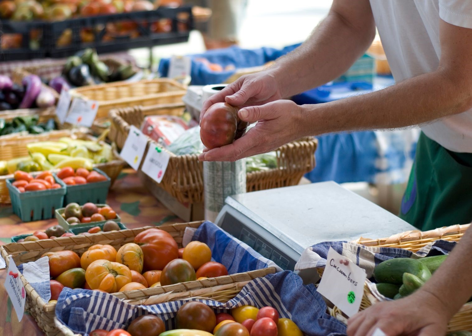 Boost Farmers' Market Success: Tips from Peru and U.S. Markets | Wikifarmer