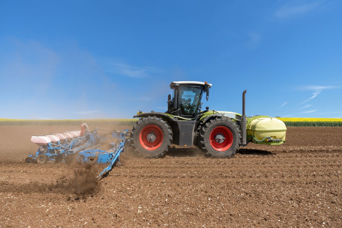 Canola Planting Guide: Soil Requirements, Seeding Rates, and Best ...