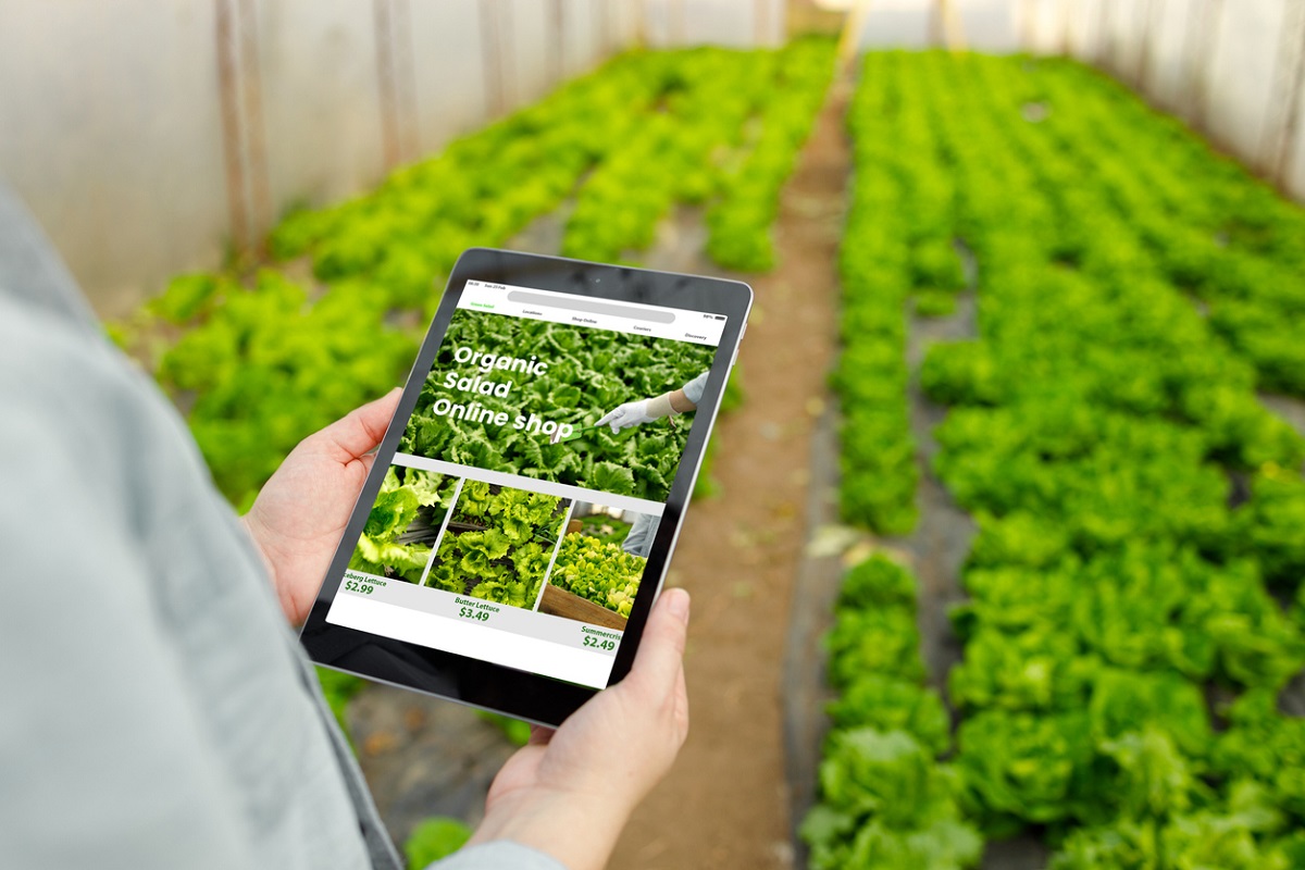 Digital Marketing for Agro-Products: Key Strategies and Best Practices ...