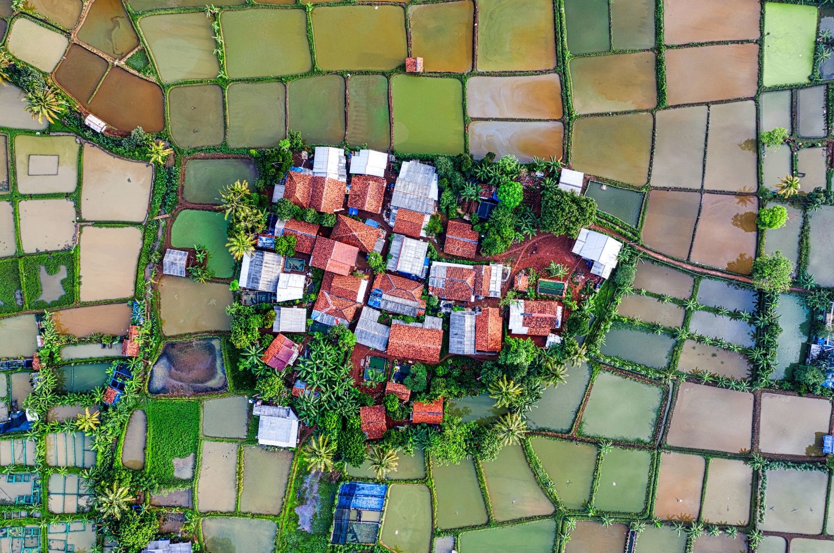 Comprendre l'agriculture: son histoire, son importance et ses ...