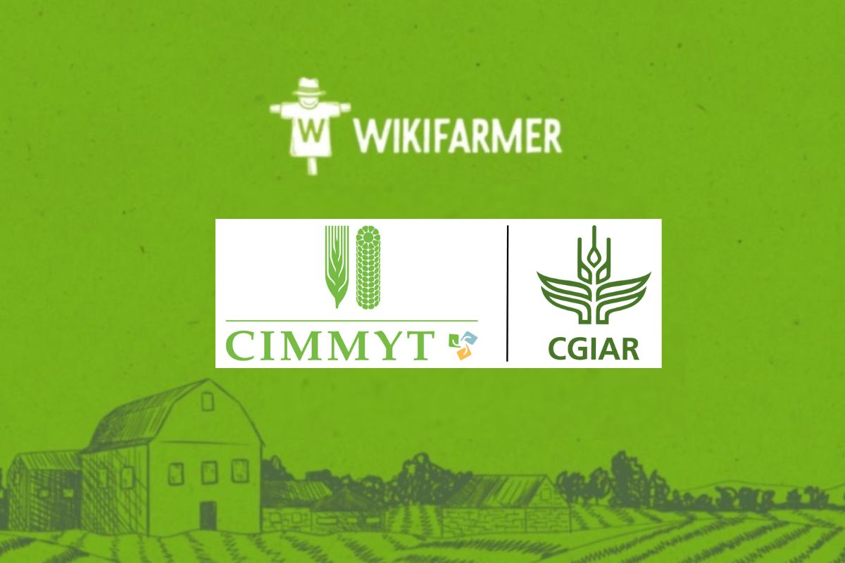 Partnership between Wikifarmer and CIMMYT