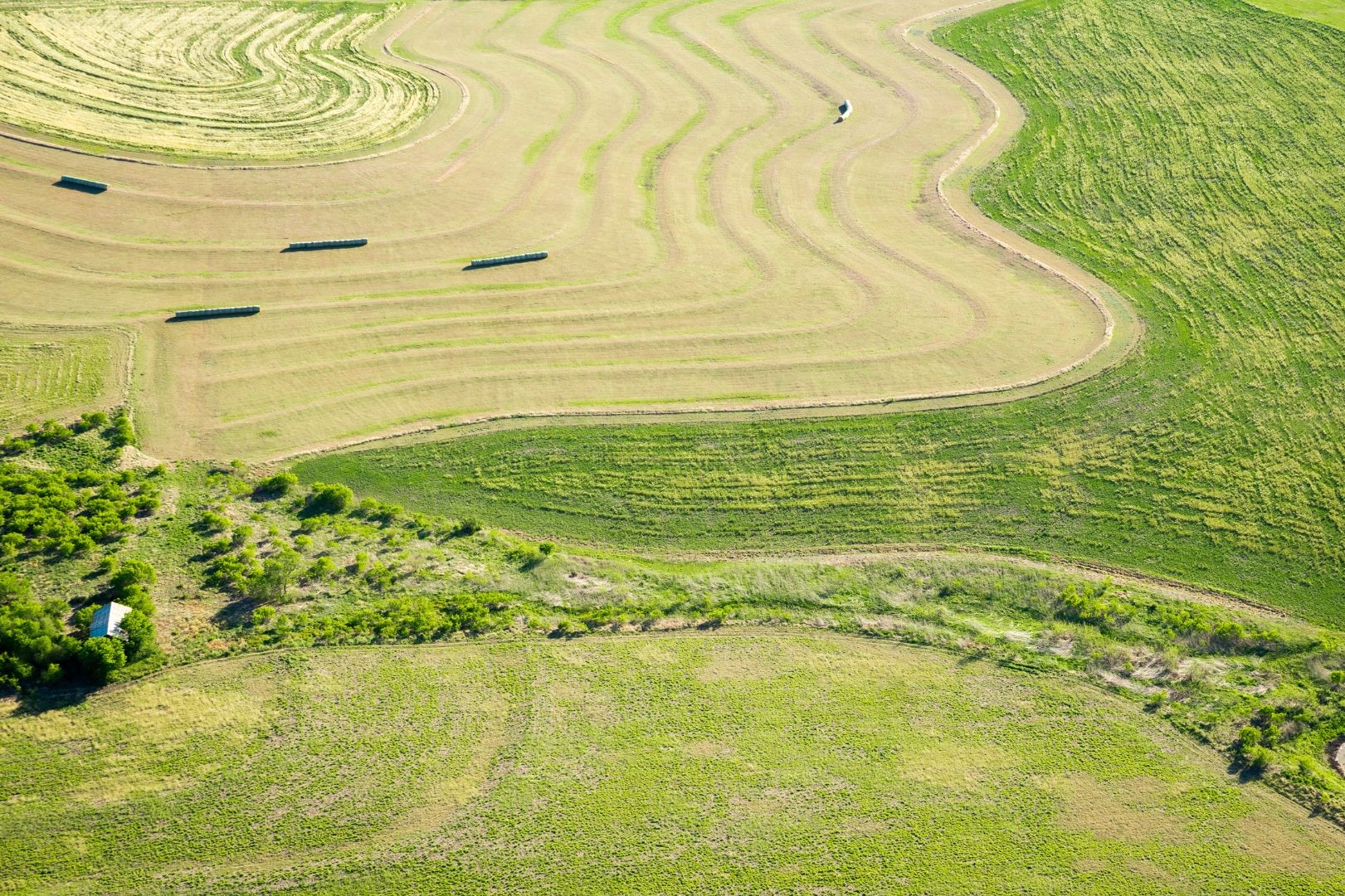 O que é agricultura de contorno? | Wikifarmer