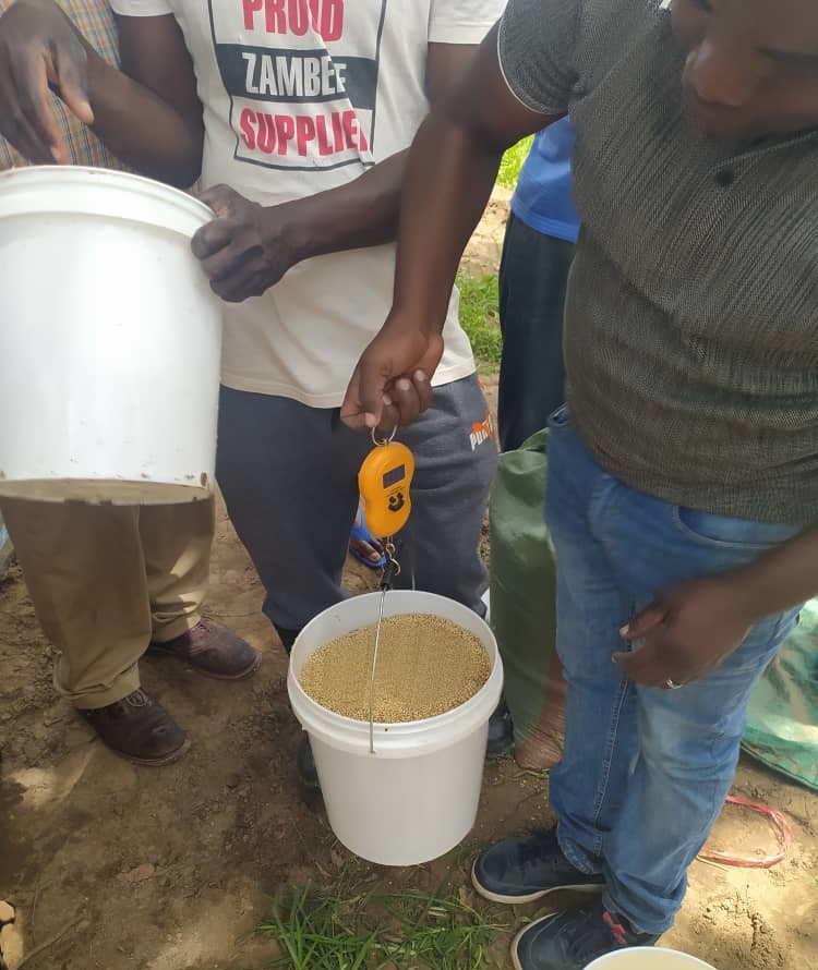 Hydroponic Fodder Production in Namwala District: A Game Changer for ...