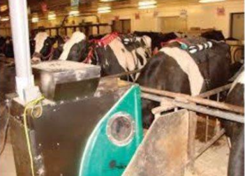 GreenFeed System as a tool for measuring methane emissions from ...