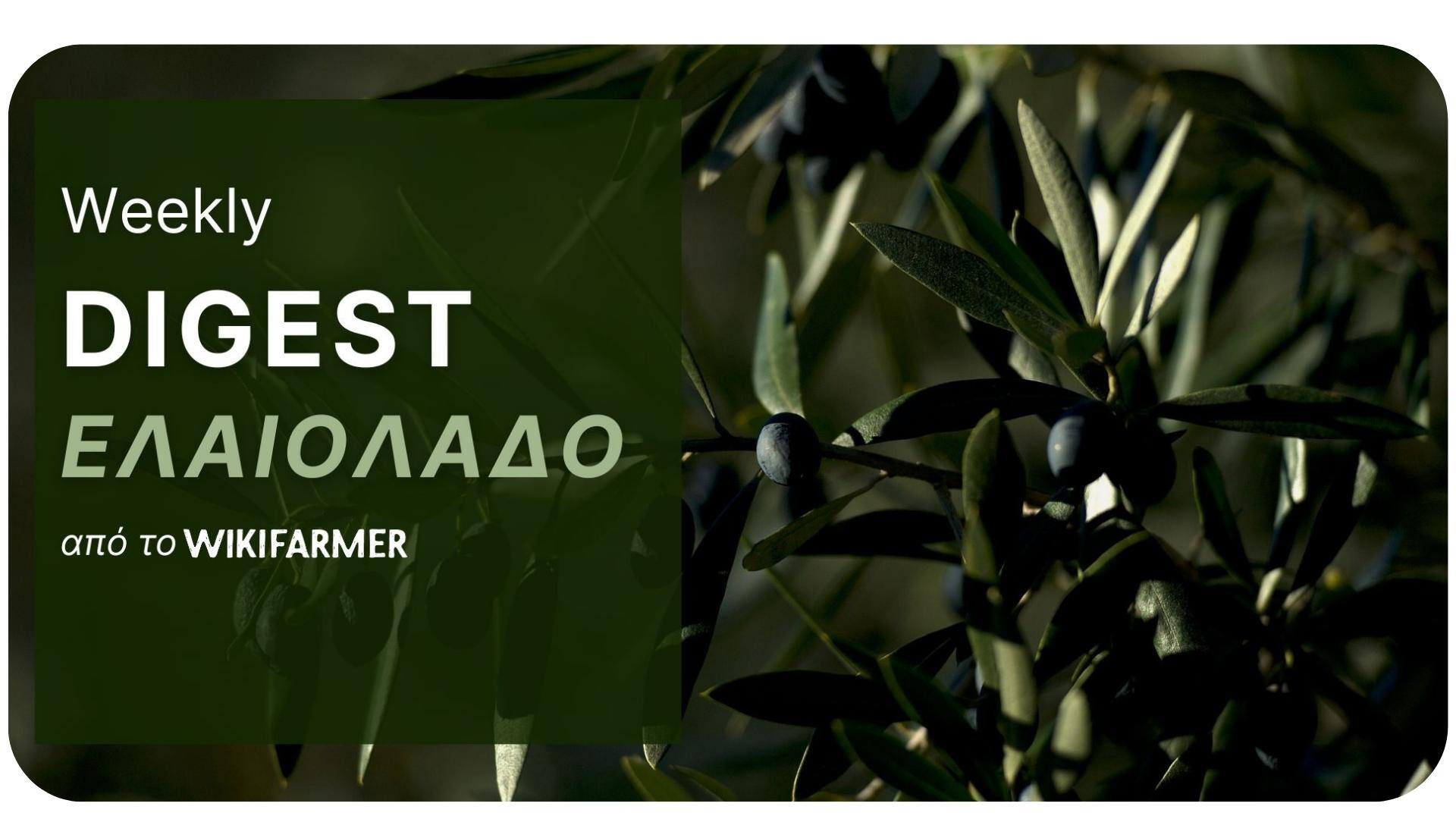 Η Αγορά του Ελαιολάδου w9/2025 | Wikifarmer