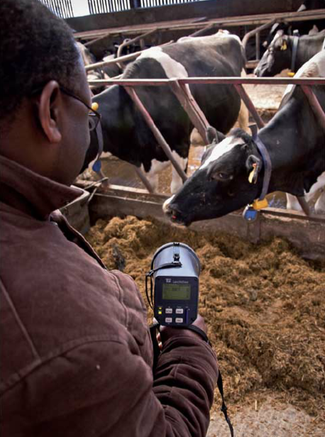 How to Measure Methane Emissions from Cattle | Wikifarmer