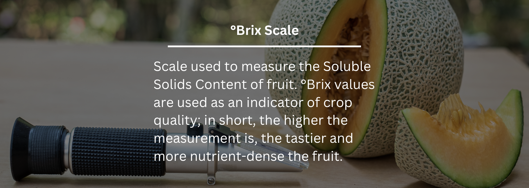 What is the Brix scale and how is it linked to fruit quality? | Wikifarmer