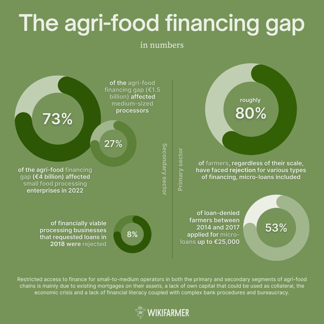 The importance of Agri-food financing | Wikifarmer