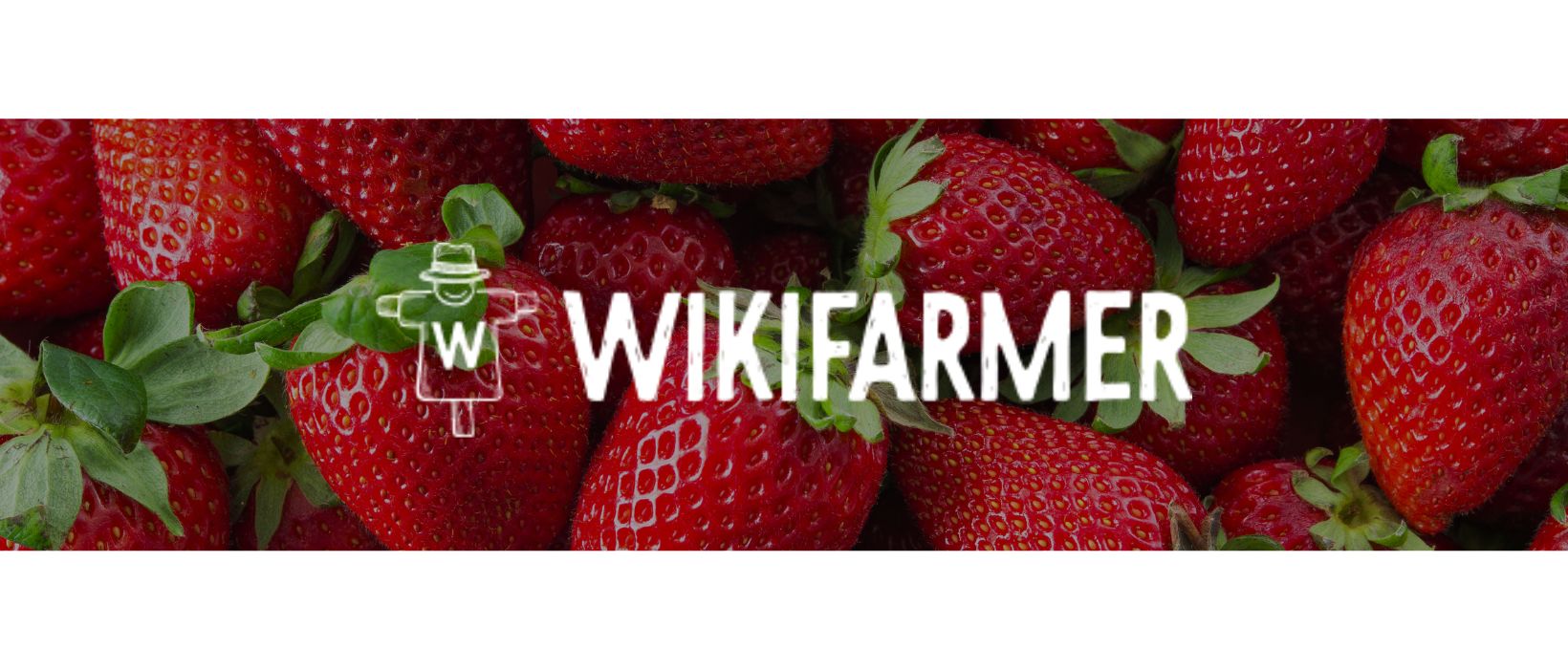 Berries Market Digest w8 | Wikifarmer