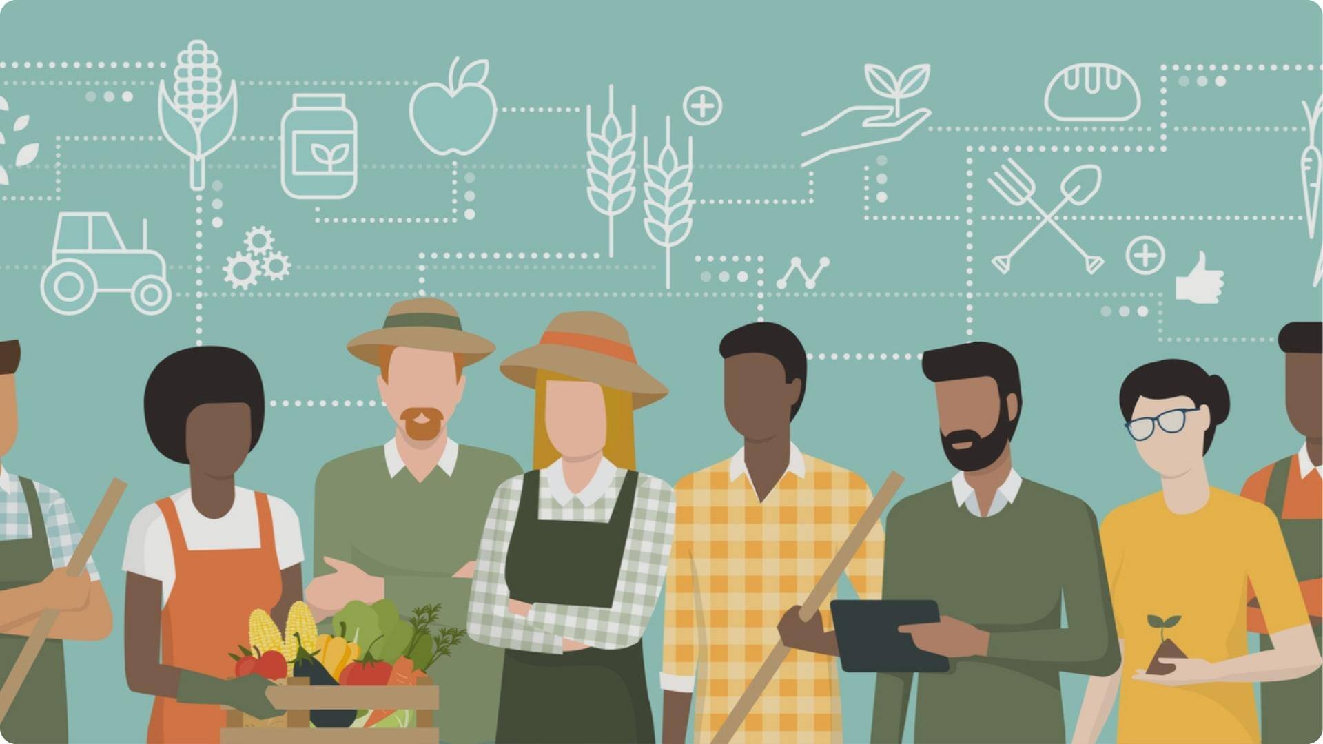 Networking and multi-stakeholder partnerships | Wikifarmer