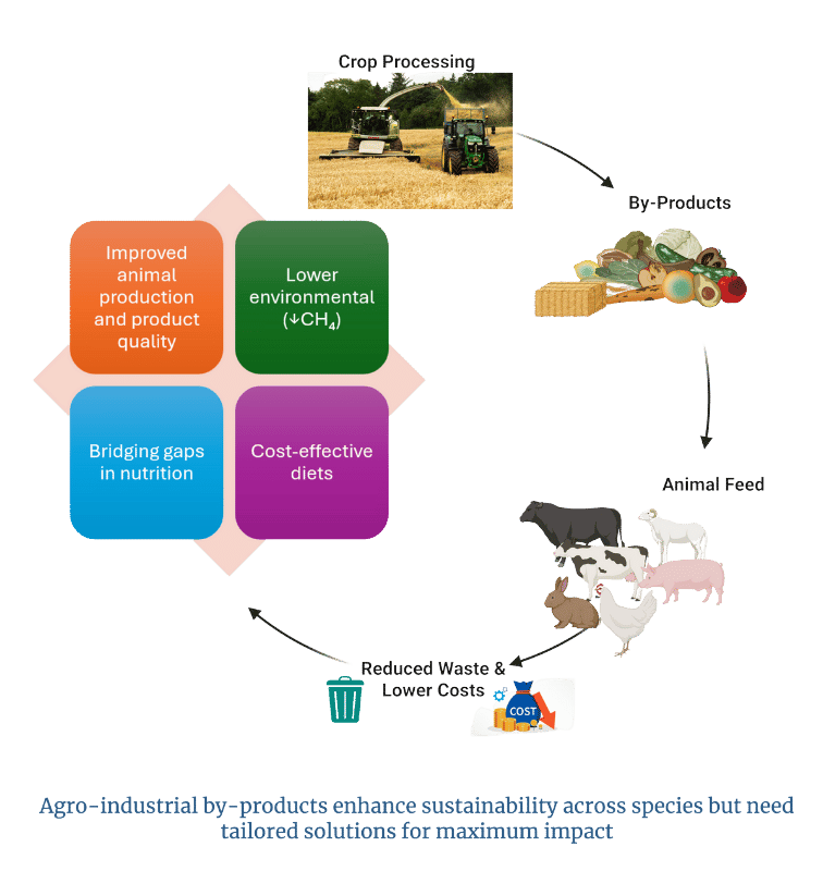 The Role of Agro-Industrial By-Products for Sustainable Livestock ...