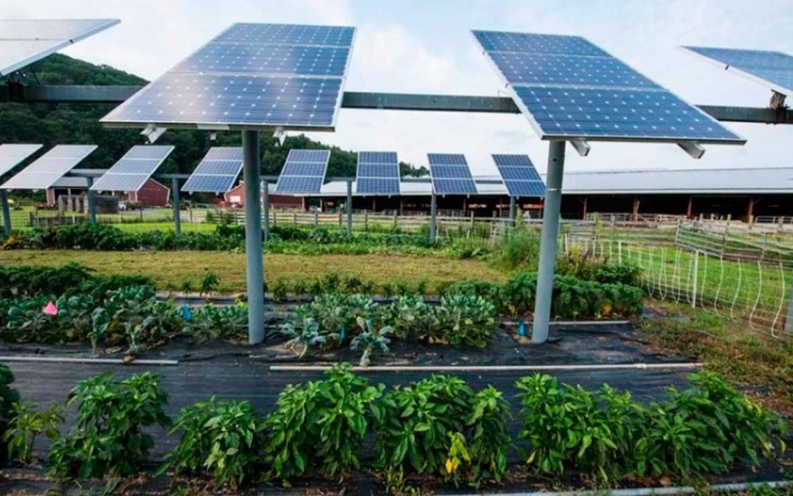 Agrivoltaics: Harnessing Solar Energy for Sustainable Agriculture and ...