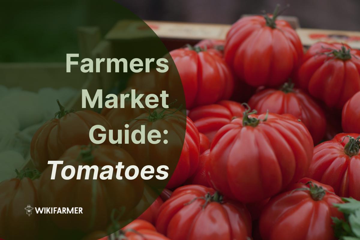 Farmers Market Guide: Tomato varieties and how to use them in your ...
