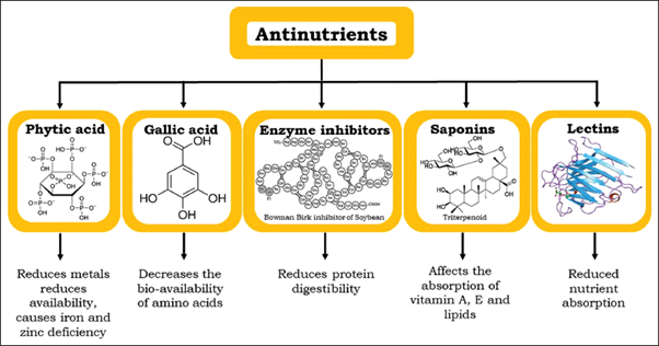 Challenges in Feed Formulation for Different Animal Species | Wikifarmer
