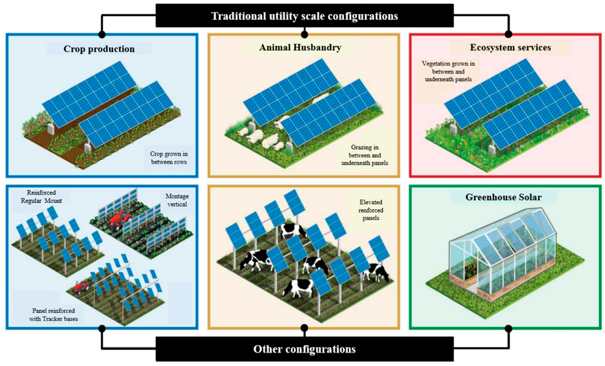 Agrivoltaics: Harnessing Solar Energy for Sustainable Agriculture and ...