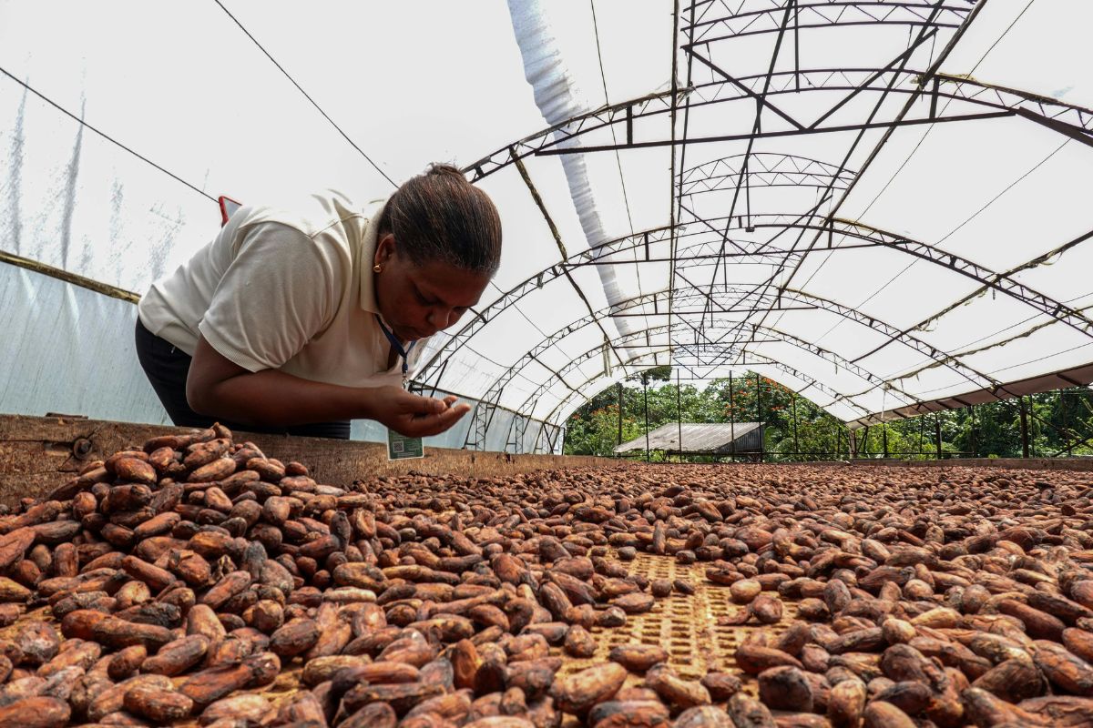 The Real Cost of Food: Understanding Environmental Impact and ...