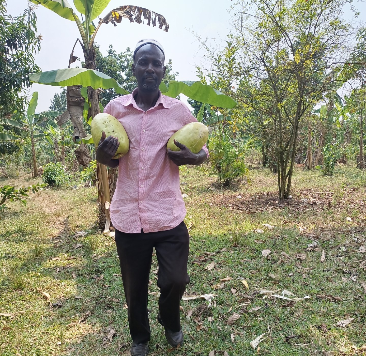 Unlocking Uganda's spice potential: A path to economic development ...