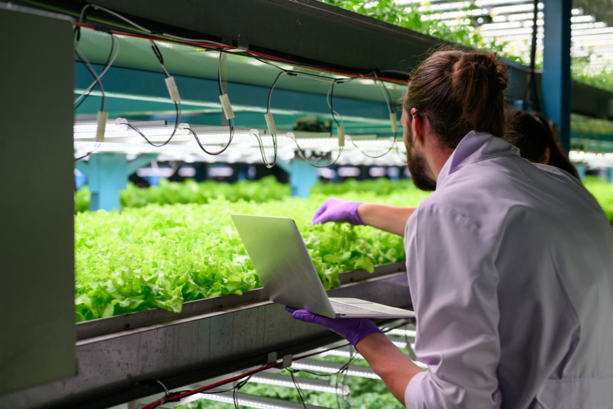 Vertical Farming Guide: How to Build a Profitable Vertical Farm ...
