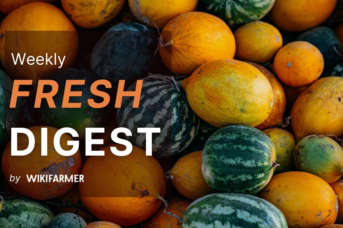 Fresh Market Digest: Week 30, 2025 | Wikifarmer