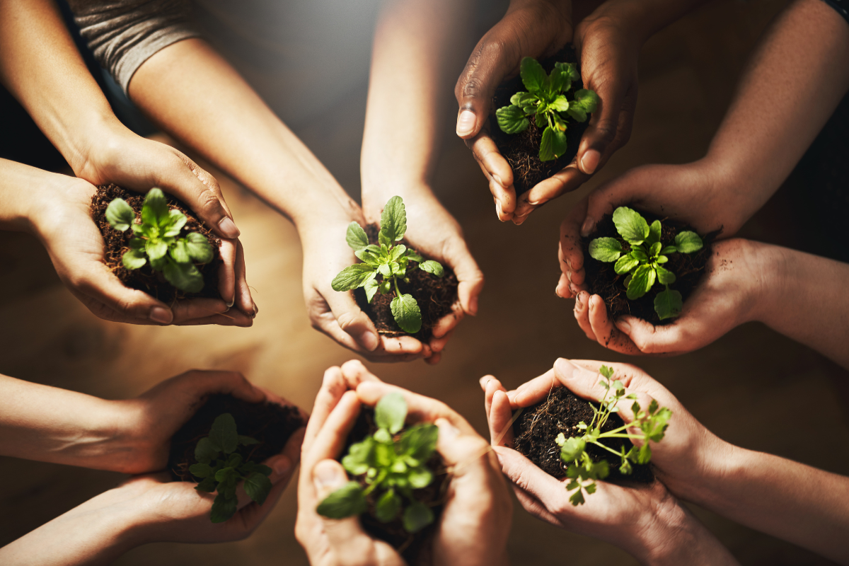 Policy gaps in agrobiodiversity conservation: Nepal’s challenges and ...
