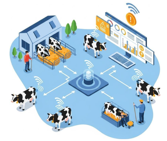 Redefining efficiency in dairy cows | Wikifarmer