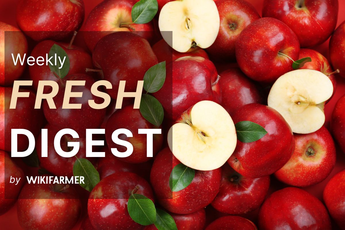 Fresh Market Digest: Week 38 | Wikifarmer