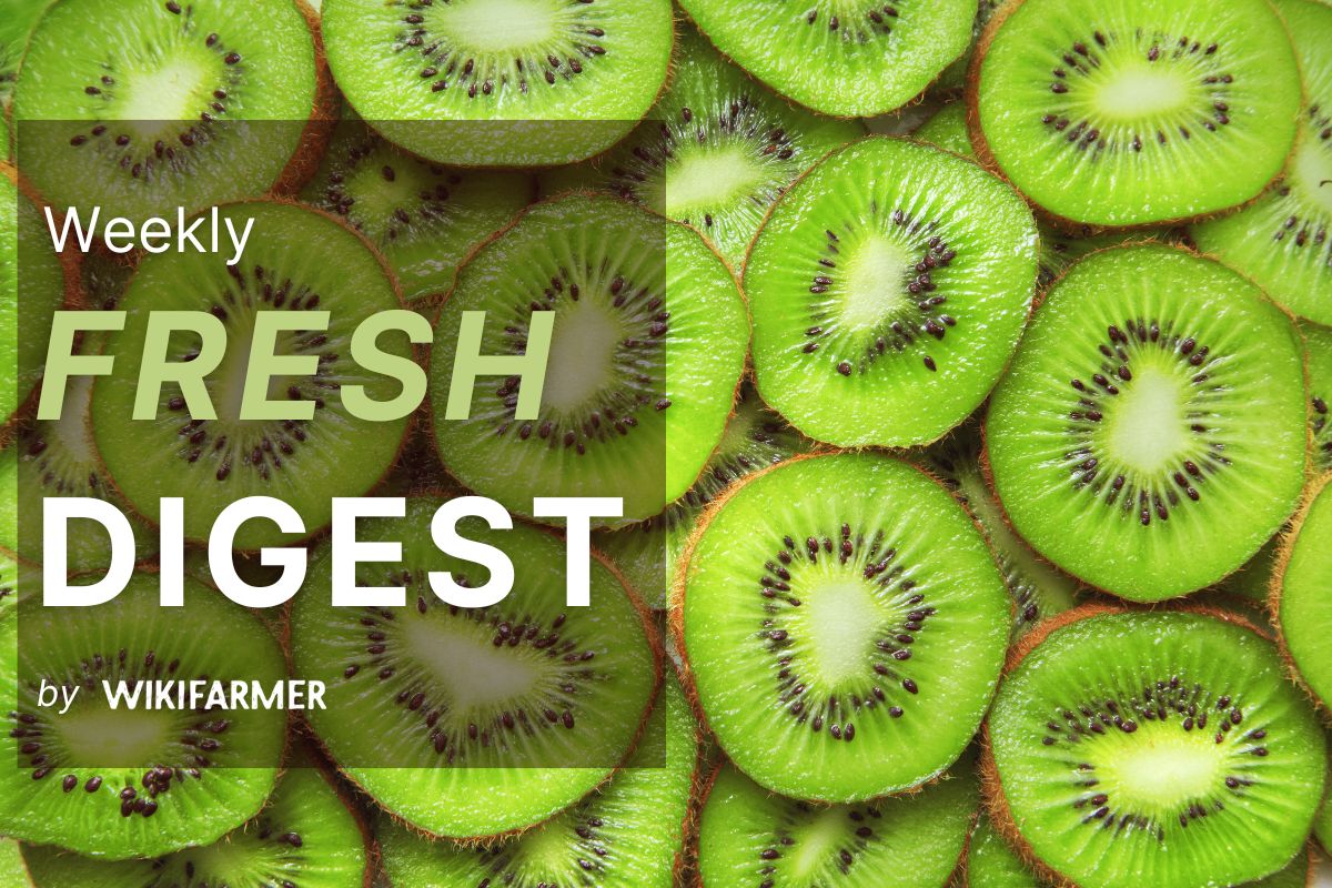 Fresh Market Digest: Week 43 | Wikifarmer