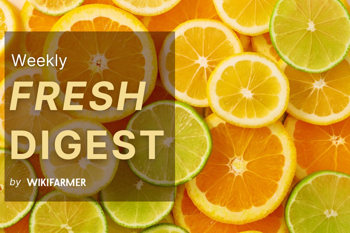 Fresh Market Digest: Week 44 | Wikifarmer