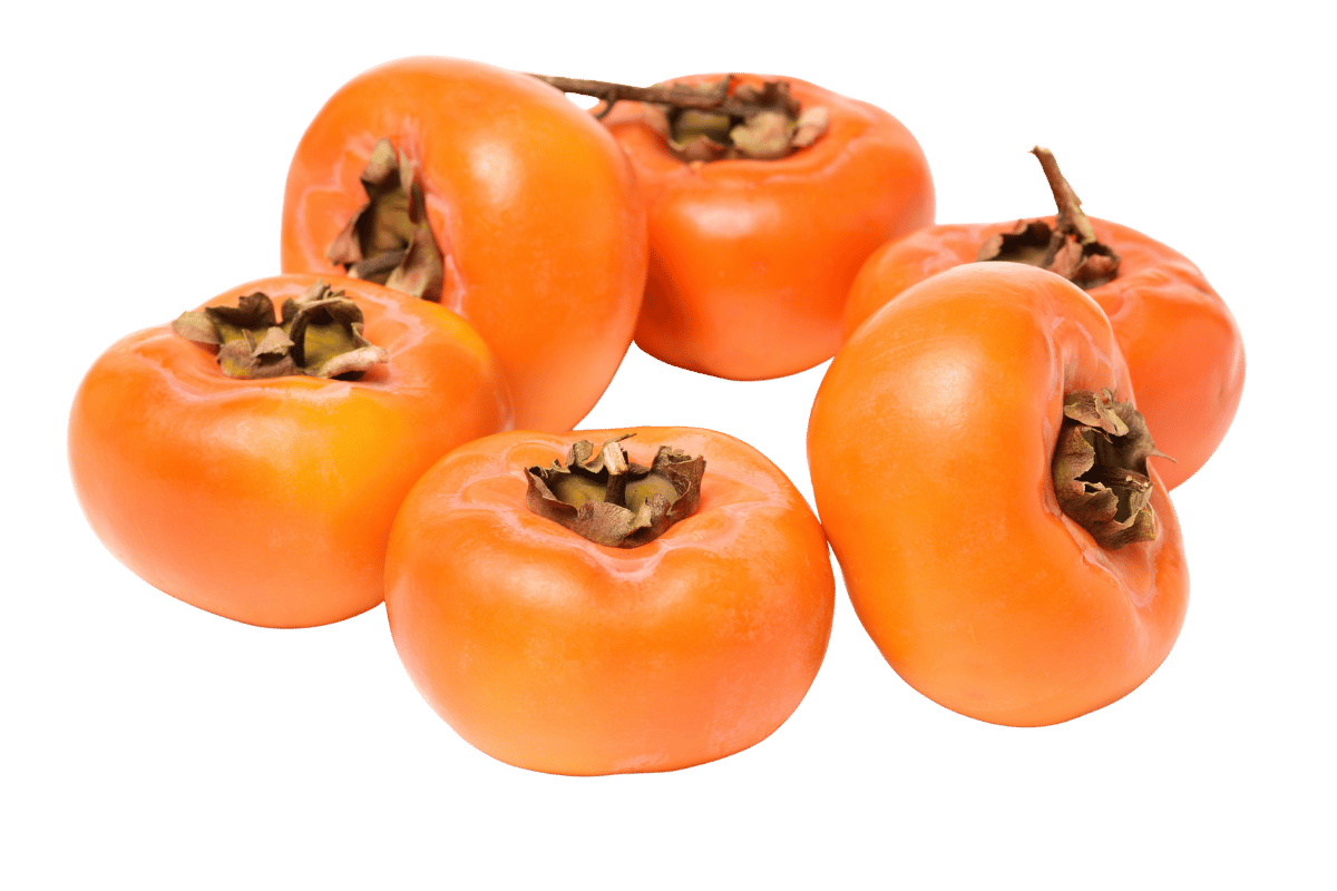 Persimmons health benefits and nutrition | Wikifarmer
