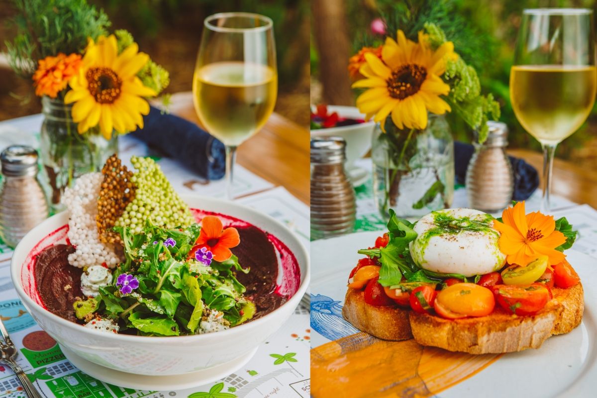 From Desert Soil to Gourmet Tables: Baja California’s Premier Organic ...