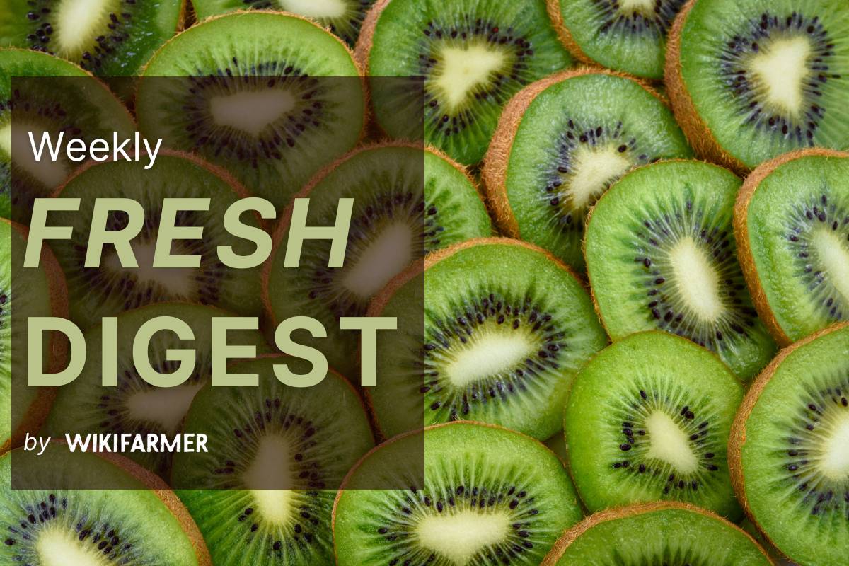 Fresh Market Digest: Week 48 | Wikifarmer
