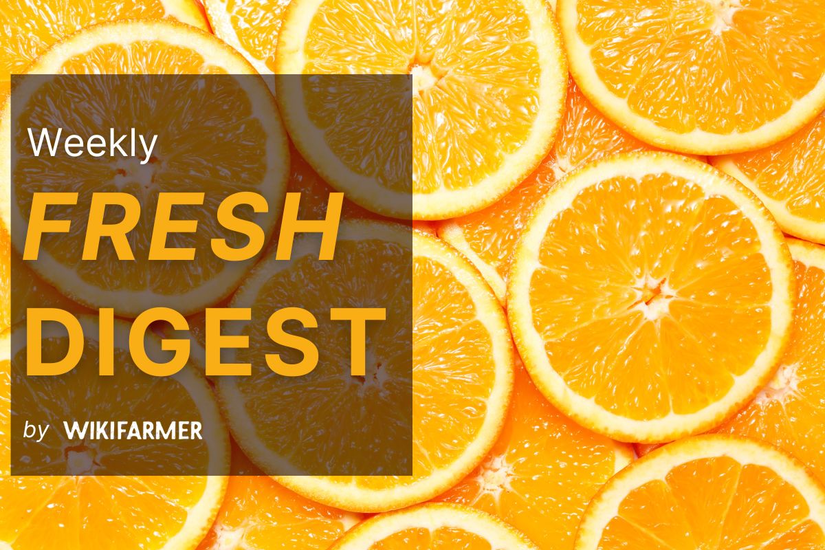Fresh Market Digest: Week 51, 2025 | Wikifarmer