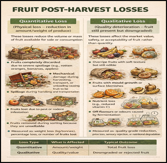 Fruit product diversification to reduce post-harvest losses and ...