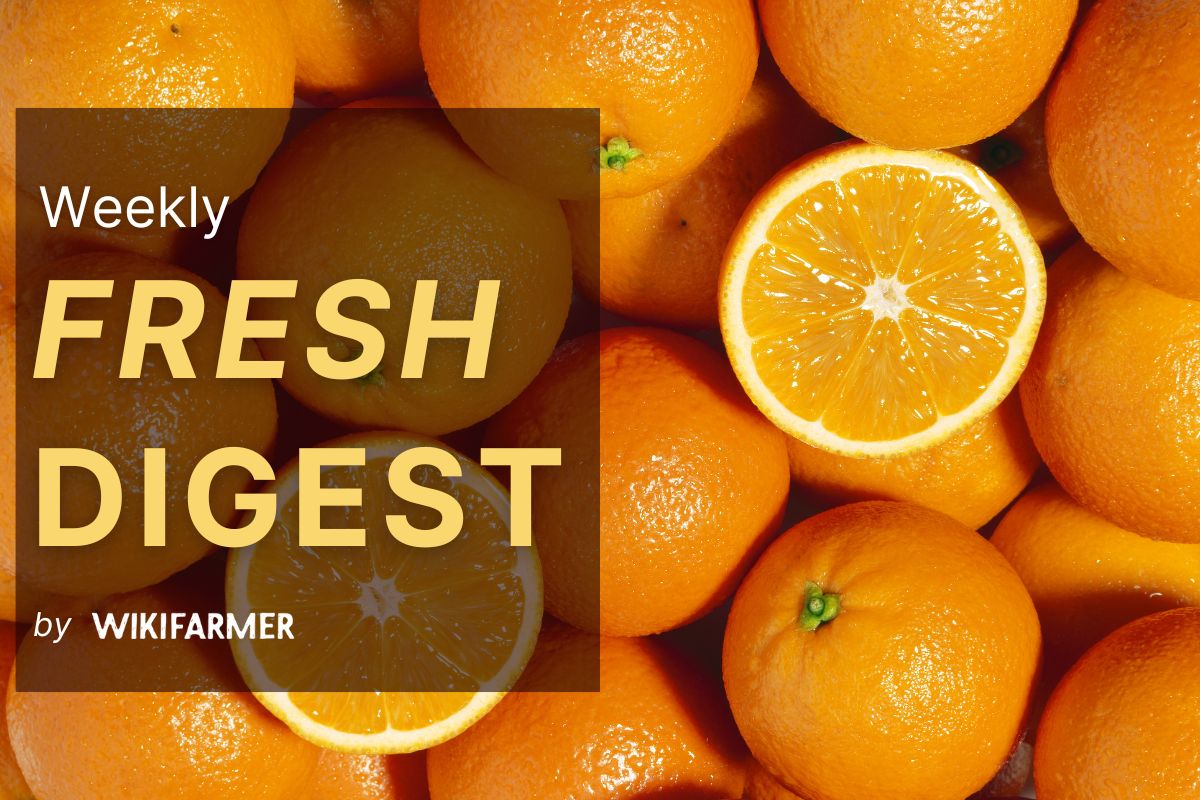 Fresh Market Digest: Week 2, 2026 | Wikifarmer