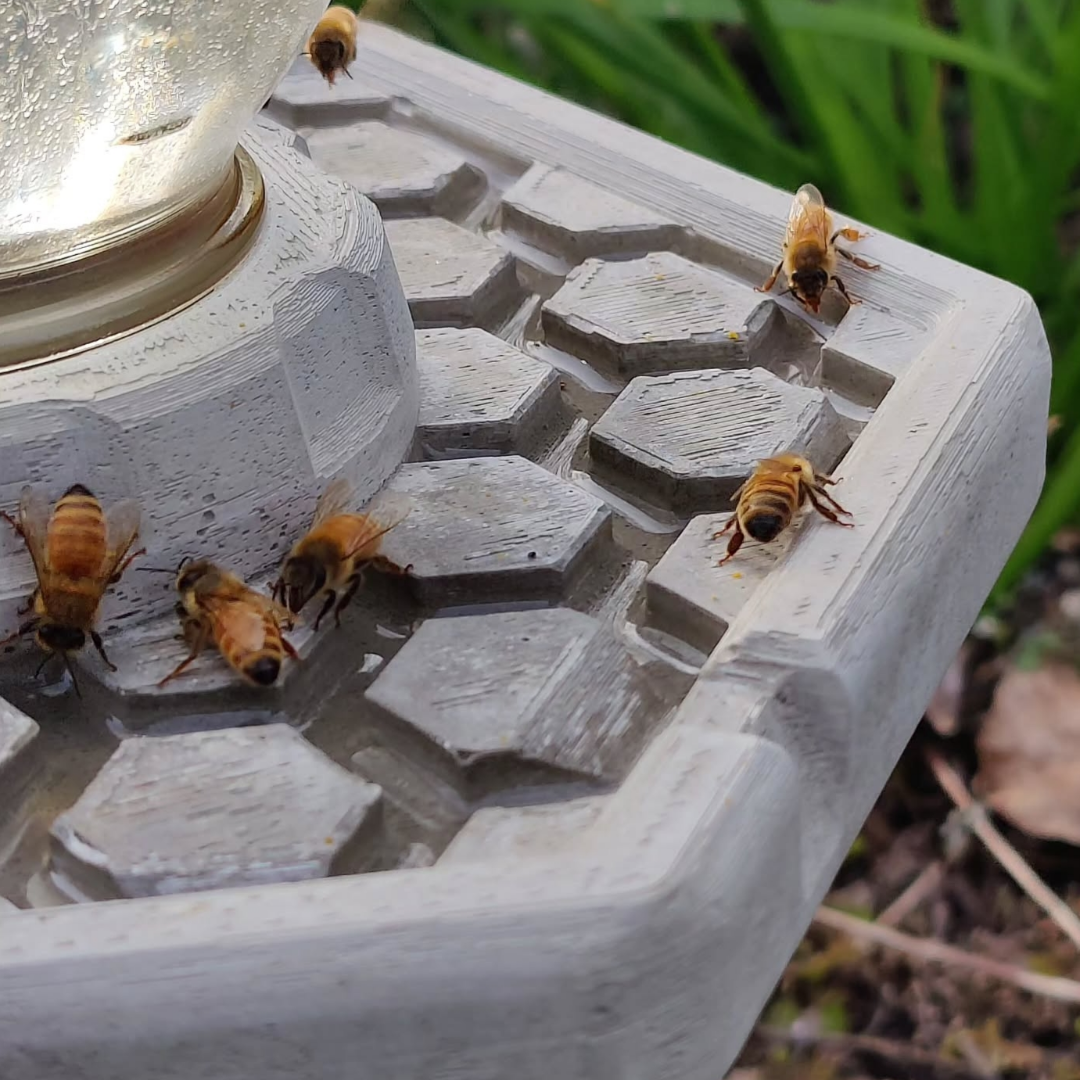 Why bees need water and how to set up a clean, reliable source | Wikifarmer