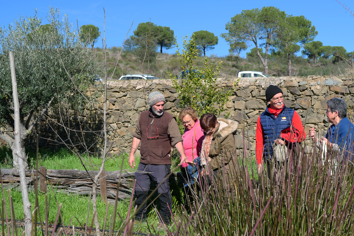 How António Coelho is reviving Portugal’s driest soils with syntropic ...