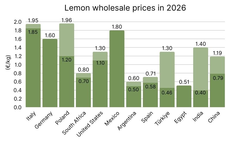 A deep dive into the global lemon market | Wikifarmer