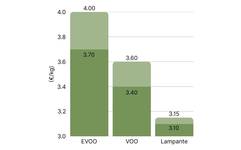 Olive oil prices falling as market watches 2026/2027 bloom | Wikifarmer