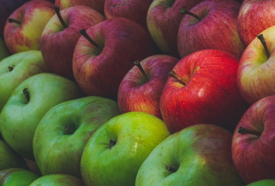 Apple Plant Information and Most Popular Varieties | Wikifarmer