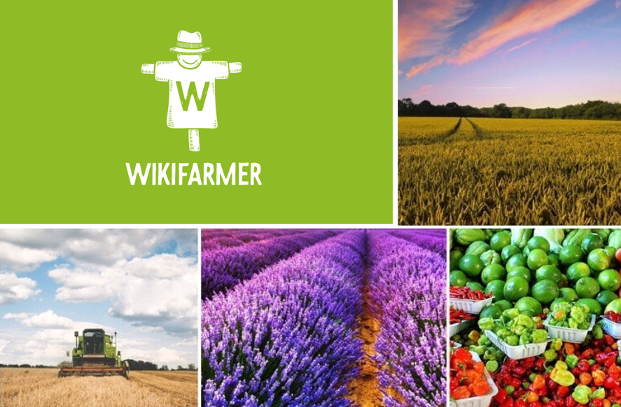 Good Agricultural Practices - Summary | Wikifarmer