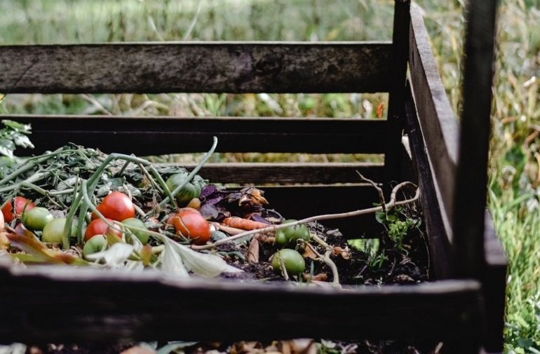 Come avviene il compostaggio | Wikifarmer