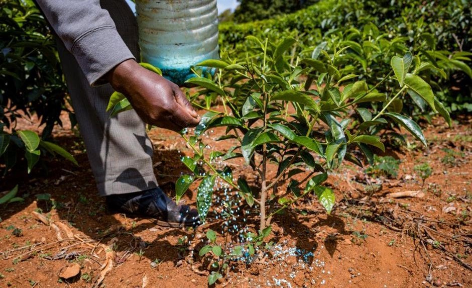 Mineral fertilizers (including ash) and sustainability | Wikifarmer